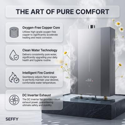 China SEFFY Wall Mounted Gas Geyser LPG Instant Boiler for Low Water Pressure Areas for sale