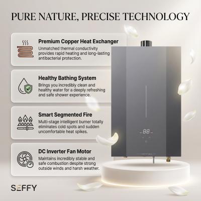 China Energy Saving LPG Instant Water Heater 25kW 30kW for Household Shower Supply for sale