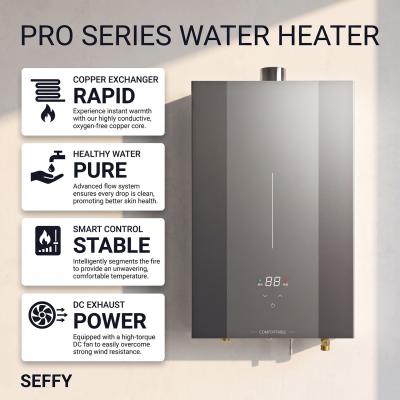 China Compact LPG Tankless Water Heater for Apartment Hotel Bathroom Hot Water System for sale