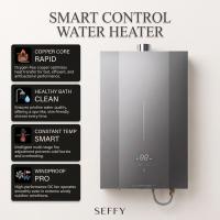 China Wholesale Gas Geyser LPG Water Heater for South America and Emerging Markets for sale