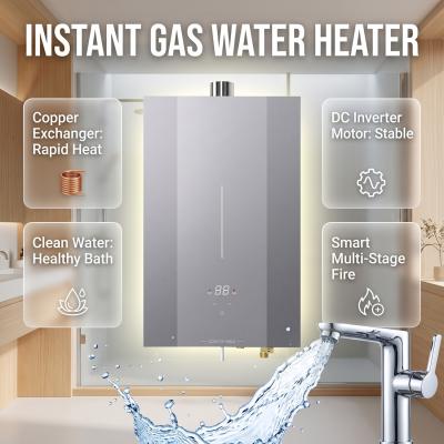 China SEFFY Instant LPG Water Heater Factory Price Gas Geyser for Importers for sale