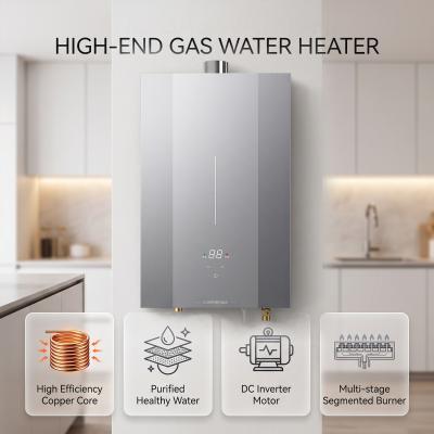 China Metal Housing LPG Gas Water Heater Copper Exchanger Wall Mounted Shower Boiler for sale