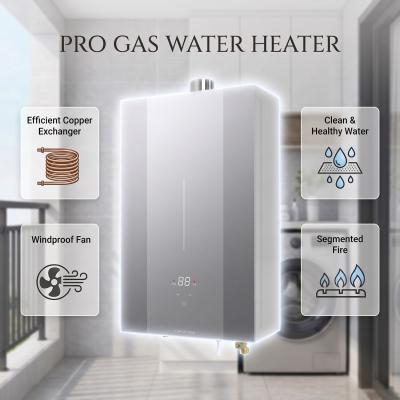 China Impulse Ignition LPG Instant Gas Boiler for Home Bathroom Hot Water Upgrade for sale