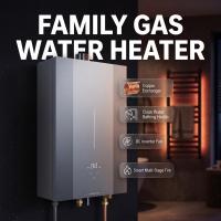 China SEFFY LPG Gas Geyser Manufacturer Wall Mounted Boiler for Global Wholesale for sale