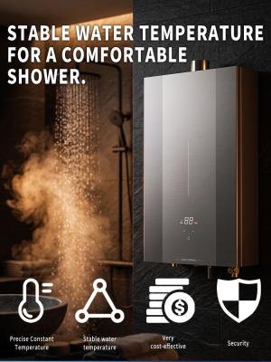 China Stable Temperature Gas Water Heater for Comfortable Shower Wall Mounted Instant Boiler for sale