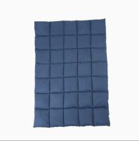 China 100% Cotton Quilt Comforter Bicolor Fashionable Quilt Comforter Set Customized color for sale