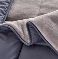 China Double Face Flaneel Fleece with Luxury Microfiber Hotel Down Quilt Supplier for sale