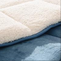 China Soft Touch Solid Flannel Comforter Fleece Sherpa Comforter With Box Quilting for sale