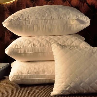 China White Embroidery Soft Touch Microfibre Pillow Gusset Microfiber Neck Pillow 45x70cm for sale