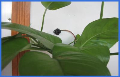 China 1 / 4 CMOS 520TVL Pinhole CCTV Mini Camera with 90 Degree View Angle for sale