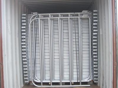 China Galvanized Cattle Crush with Weighing System 1800mm Height 2100mm Length for sale