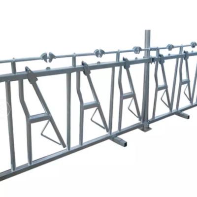 China 50x40x3mm Hot-Dip Galvanized Steel Cow Headlock System 0.9m High for Dairy Cattle and Livestock Management for sale