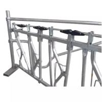 China Galvanized Cattle Headlock System 42mm Pipe 4mm Lever Support for Dairy Farm Feeding Equipment for sale