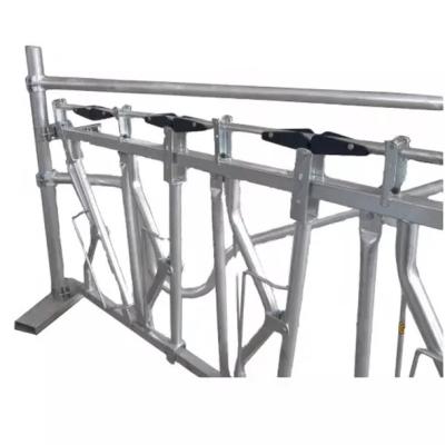 China Galvanized Cattle Headlock System 42mm Pipe 4mm Lever Support for Dairy Farm Feeding Equipment for sale