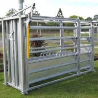 China Hot Dipped Galvanized Steel Cattle Squeeze Chute 750mm Internal Width Livestock Headlock for sale