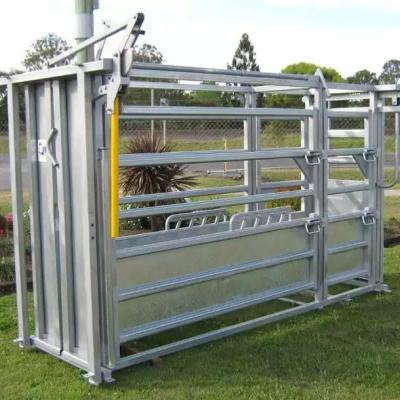 China Hot Dipped Galvanized Steel Cattle Squeeze Chute 750mm Internal Width Livestock Headlock for sale