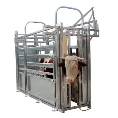 China Galvanized Livestock Cow Headlock Feeder 3mm Steel Pipe 0.4-1.2m Feeding Space for sale