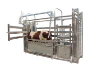 China OEM Hot Galvanized Cattle Crush Headlock 1800mm x 2100mm with Weighing System - Carbon Steel Livestock Equipment for sale