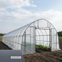 China Customizable Height Greenhouse Tunnels 20ft x 10ft x 7ft Galvanized Steel Frame PE Cover for sale