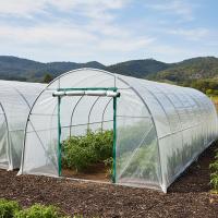 China Cold Rolled Greenhouse Tunnel 20-32mm Frame with Zippered Door for Crop Protection for sale