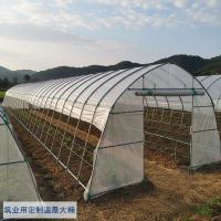 China Customizable Waterproof PE Cover Greenhouse Tunnel Galvanized Steel Frame 20x10x7ft for sale