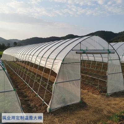 China Customizable Waterproof PE Cover Greenhouse Tunnel Galvanized Steel Frame 20x10x7ft for sale