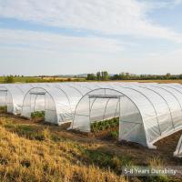 China Galvanized Steel Frame PE Film Greenhouse Tunnel 20ft x 10ft x 7ft for Crop Cultivation for sale