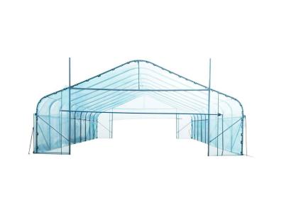 China Customizable Tunnels Greenhouse Agricultural Greenhouses and Farm Greenhouse Nursery Green House China Factory Export Poly Tunnel Greenhouse for sale