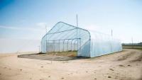 China Factory Price Hot Galvanized Steel Frame Plastic Sheet Single Span Greenhouse Tunnel Greenhouse for Agricultural Vegetable for sale