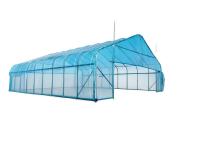 China Factory Price Hot Galvanized Steel Frame Plastic Sheet Single Span Greenhouse Tunnel Greenhouse for Agricultural Vegetable for sale