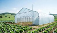 China Factory Price  Find similar icon   certified High Tunnel Single-Span Agricultural Greenhouse Heavy Duty Hot Galvanized Steel Frame PE Cover for sale