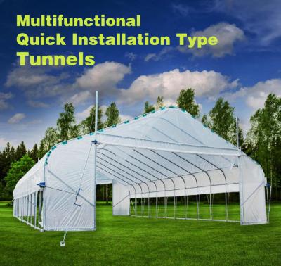 China High Quality Galvanized Frame Tunnel Ventilation Single-Span Factory Price Hot Galvanized Steel Frame Plastic Sheet Single Span Greenhouse Tunnel Greenhouse for Agricultural Vegetable for sale