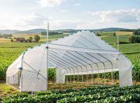 China High Quality Galvanized Frame Tunnel Ventilation Single-Span Factory Price Hot Galvanized Steel Frame Plastic Sheet Single Span Greenhouse Tunnel Greenhouse for Agricultural Vegetable for sale