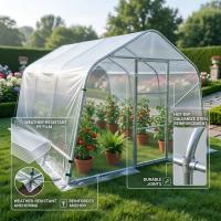 China 8m x 30m Hot Dip Galvanized Steel Tunnel Greenhouse 200 Micron UV Resistant PE Film Cover for sale