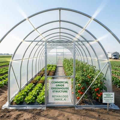 China Roll Up Side Ventilation Tunnel Greenhouse 10m Wide 40m Long Galvanized Steel Frame Kit for sale