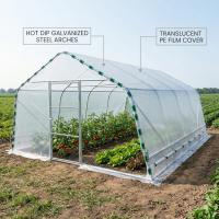China Hydroponic NFT Tunnel Greenhouse 6m Wide 25m Long Galvanized Frame Complete Growing Kit for sale