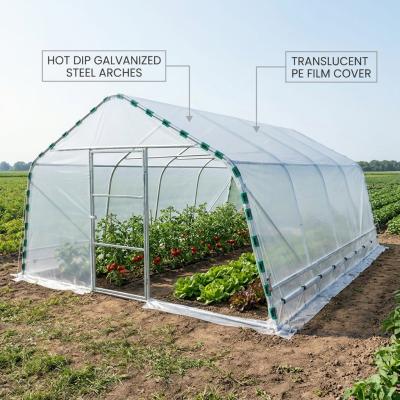 China Hydroponic NFT Tunnel Greenhouse 6m Wide 25m Long Galvanized Frame Complete Growing Kit for sale