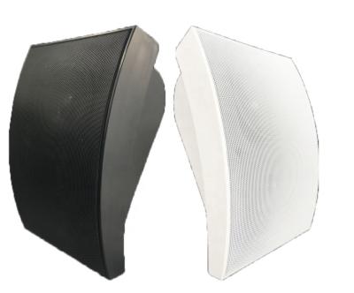 China 5W/10W Wall Speaker 4 Inch Woofer 1 Inch Tweeter ABS Material Good Sound for Commercial Application for sale