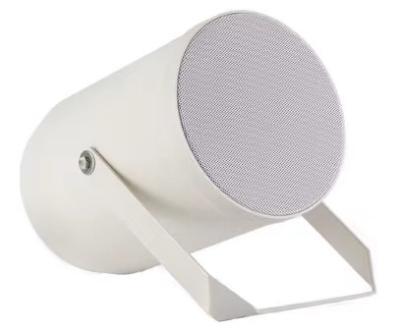 China 10w/5w 5 Inch Waterproof Projector Speaker IP55 ABS Material Loudspeakers for sale