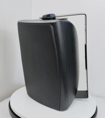 China Two Way In Wall PA Speakers 30W 100V Individual Tweeter 5 Inch Woofer for sale