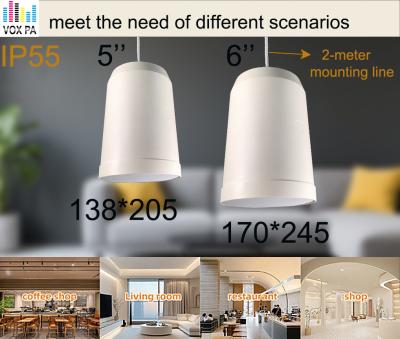 China 10w/5w 5-inch Hanging Speaker IP55 Waterproof Full Range Speaker with 2-meter Mounting Line for sale