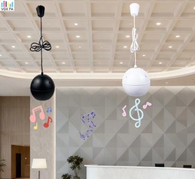 China 10w/5w/2.5w Hanging Speaker Pendent Speaker 5 Inch Full Range Speaker ABS HiFi Good Sound for Hotel Airport Station for sale