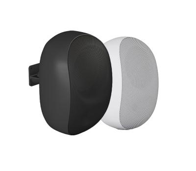 China 5-inch 30W/15W/7.5W/3.75W Waterproof Speaker Commercial Audio Bluetooth Function Logo Customization Factory Direct Sale for sale