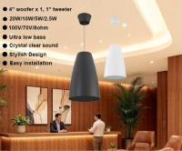 China 4'' Woofer 1'' Tweeter Hanging Speaker Crystal Sound 20W/10W/5W/2.5W 100V/8ohm Ultra Low Bass Black Color for sale