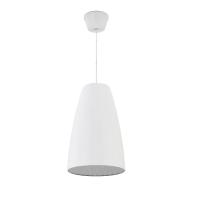 China 4-inch Two Way Speaker Good Sound OEM ODM 20W/10W/5W/2.5W Hanging Speaker White Color for sale
