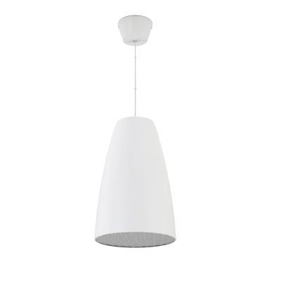China 4-inch Two Way Speaker Good Sound OEM ODM 20W/10W/5W/2.5W Hanging Speaker White Color for sale
