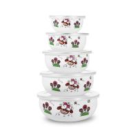 China Health Care Enamel Food Storage Bowl Sets Steel Containers Fruit Salad Mixing Bowls for sale