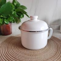 China Enamel Carbon Steel Pasta Pot With PE Lid , Enamel Full Coated Noodle Pot EU Approved for sale