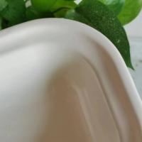 China Customized Cast Iron Steel Enamel Serving Dish Plate With 304 Steel Rolled Edge Rim for sale