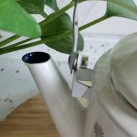 China Flower Theme Enamel Tea Kettle On Steel With Wood Handle And 201 Stainless Steel Rim for sale